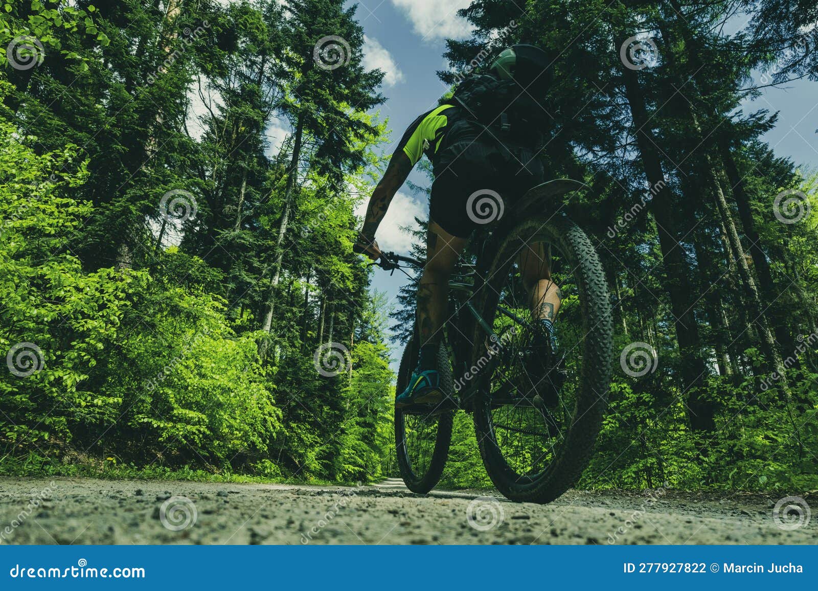 Man on Mtb Bike Ride Trough Lush Forest at Spring Stock Photo - Image ...