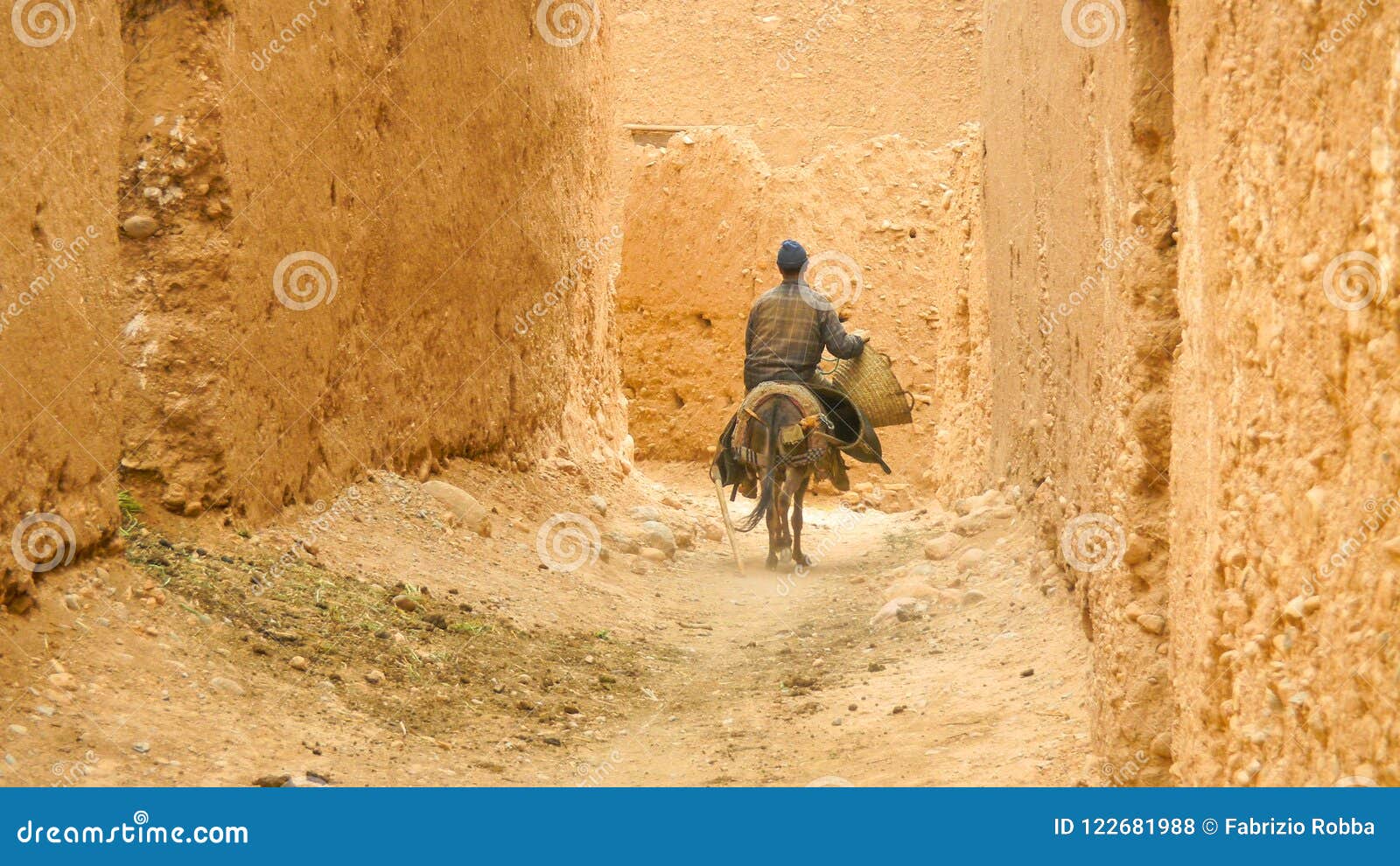 Man on a Mule with Typical Harness and Baskets, Morocco Editorial Stock ...
