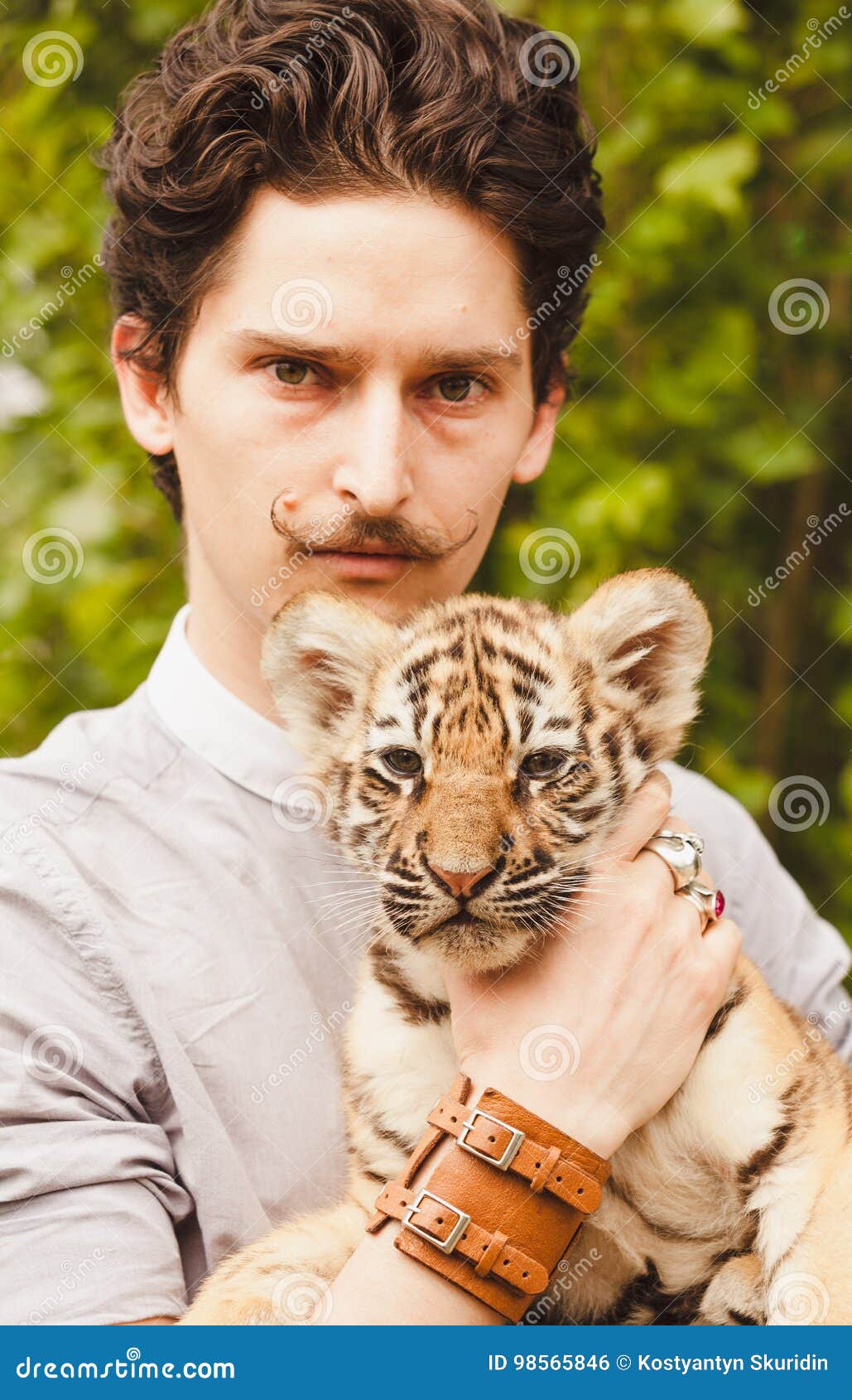 A Man with a Mustache Looks into the Face of a Tiger Cub Stock Photo ...