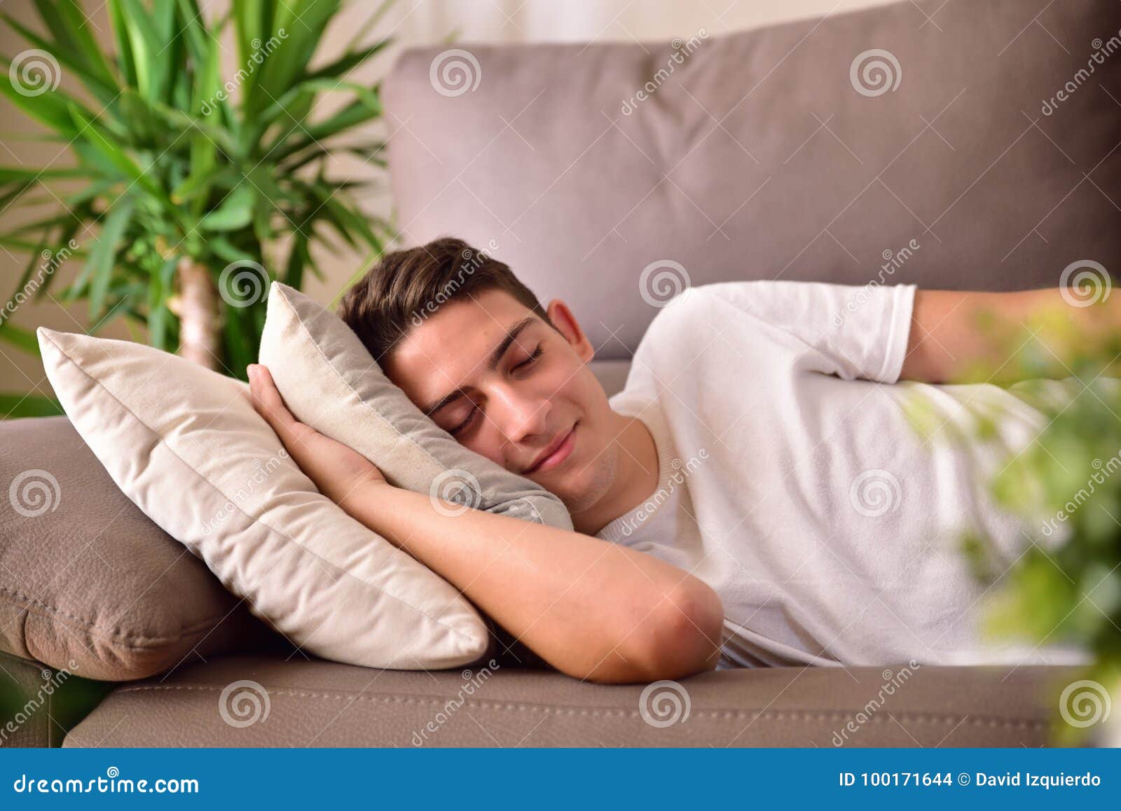 Man Napping on a Couch at Home Front View Stock Photo - Image of ...