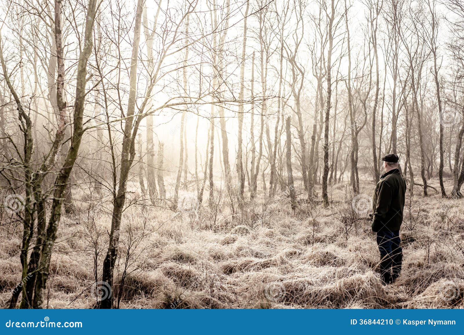 Man in nature stock photo. Image of horizontal, mist - 36844210