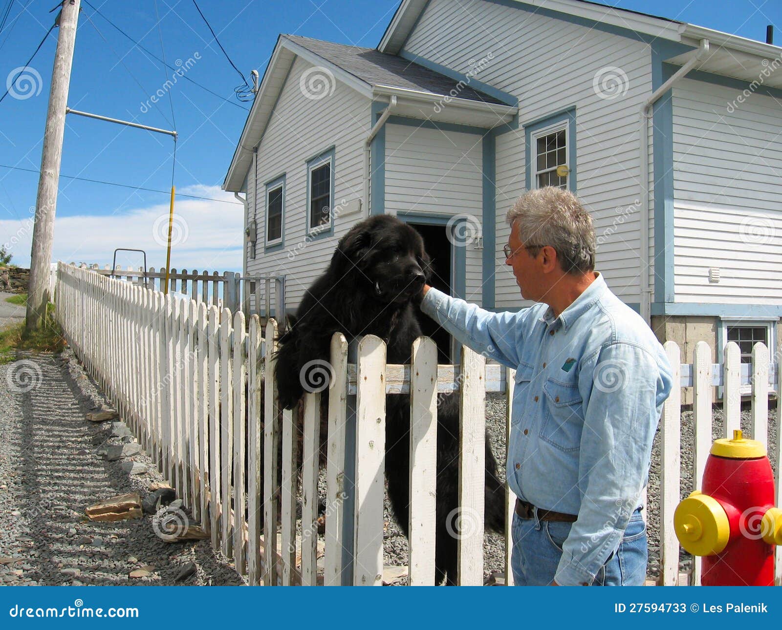 Man with a Newfoundland Dog Stock Image - Image of clouds, male: 27594733