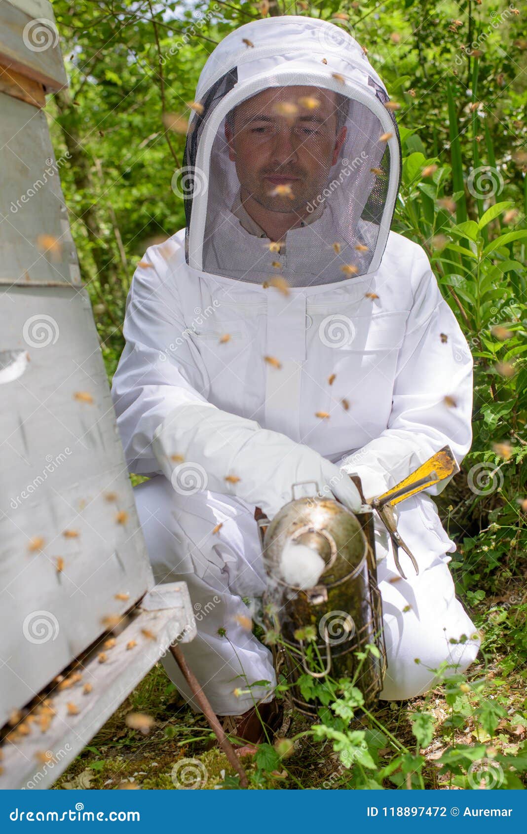 Man next to bee hive stock photo. Image of beekeeping - 118897472