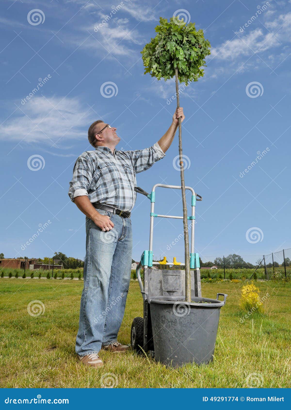 Man with oak tree stock photo. Image of adult, plant - 49291774