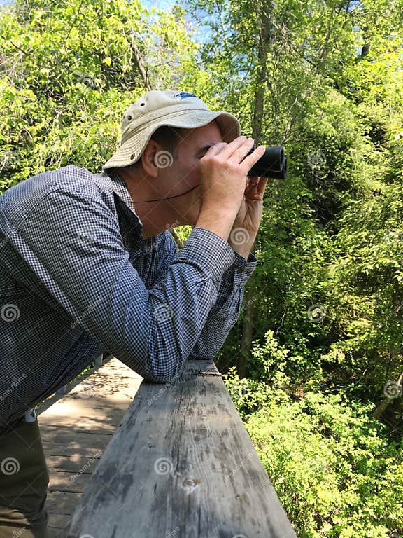 Man observing nature stock image. Image of shirt, exploring - 72271231