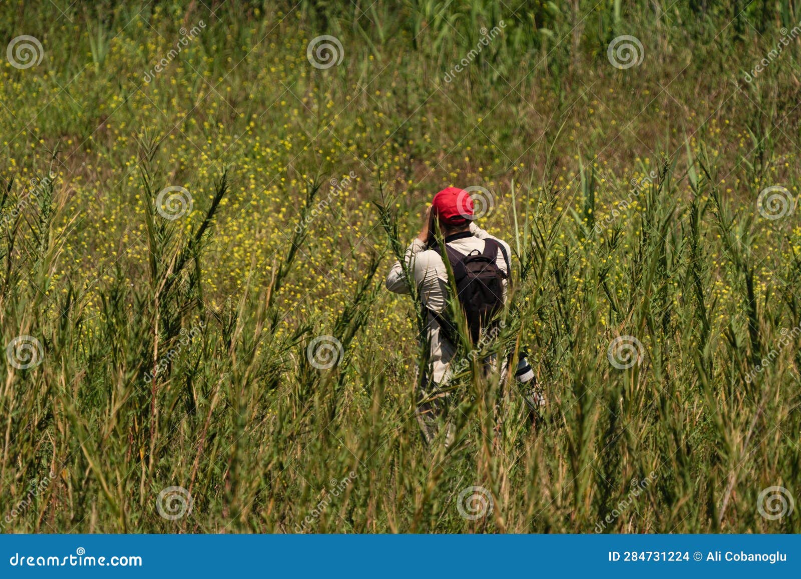 A Man Observing Nature with Binoculars. Birdwatcher Stock Photo - Image ...