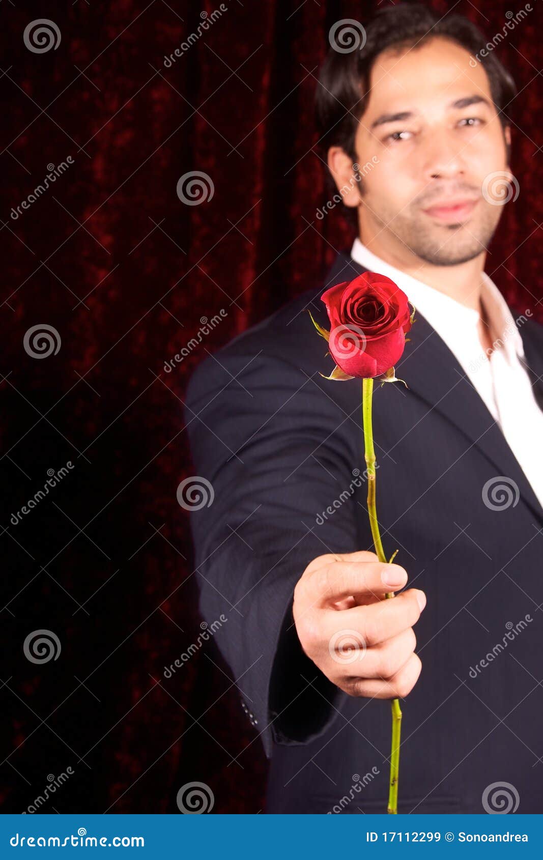 Man offering rose stock image. Image of bachelor, lover - 17112299