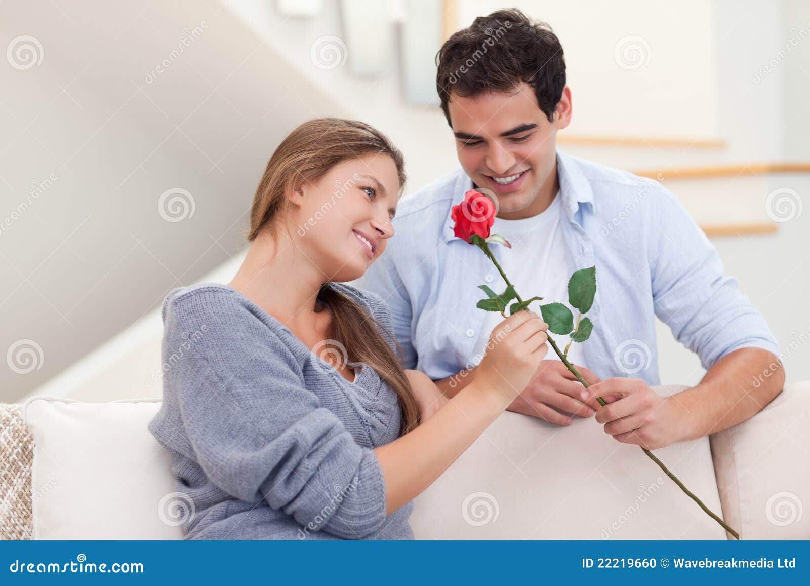 Man Offering a Rose To His Wife Stock Photo - Image of offer, flower ...