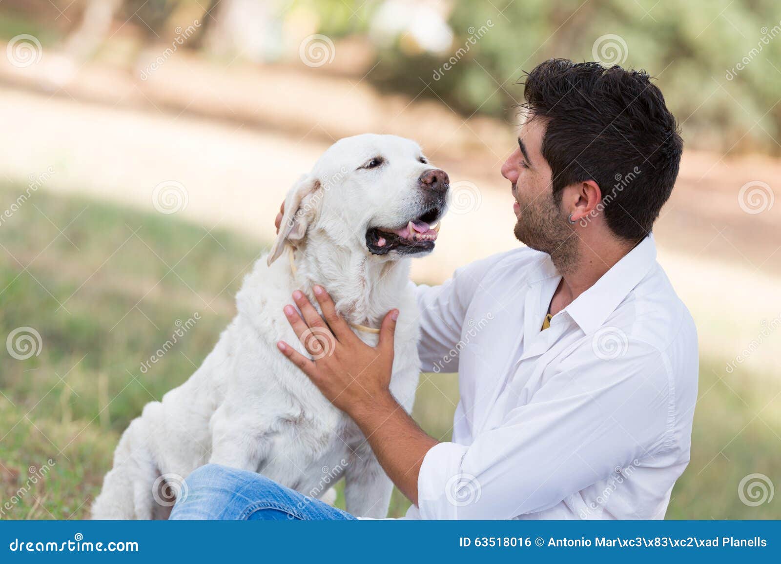 Man with Old Senior Labrador Dog Stock Photo - Image of camera, people ...