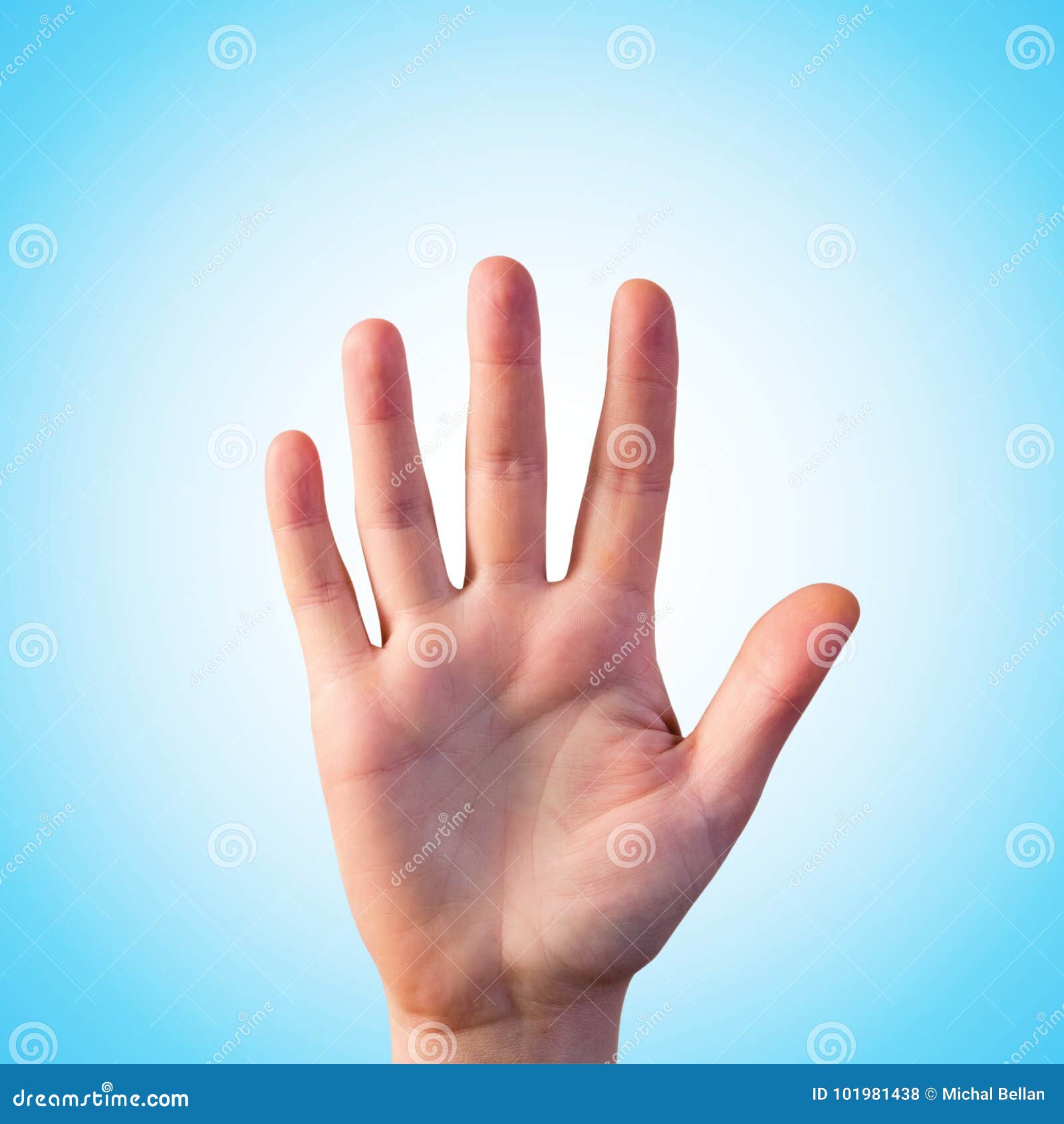 Man Opened Hand Show Five Fingers on Blue Background Stock Photo ...