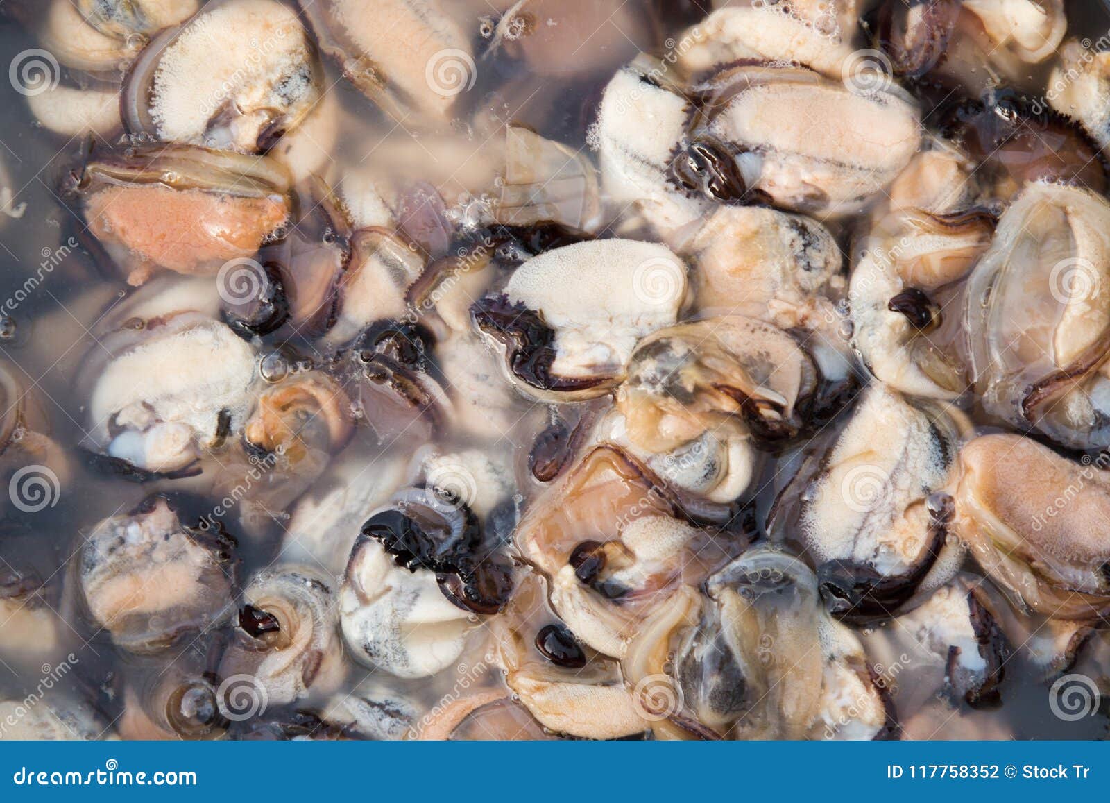 Man opens mussel shells stock photo. Image of close - 117758352