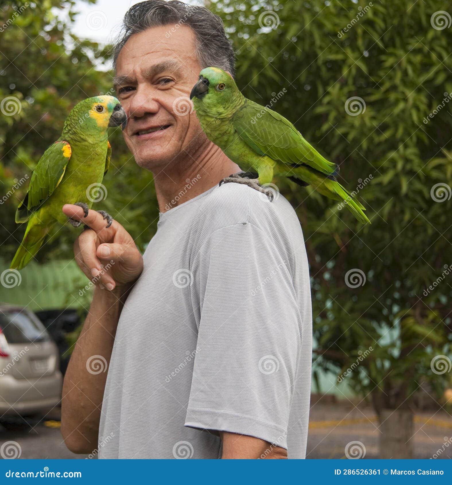 Man Outside with His Blue Fronted Amazon Parrot Stock Image - Image of ...