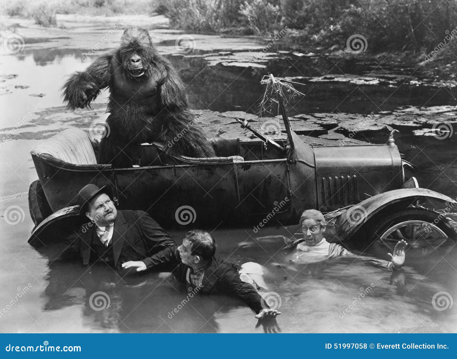 MAN OVERBOARD stock photo. Image of animal, companion - 51997058