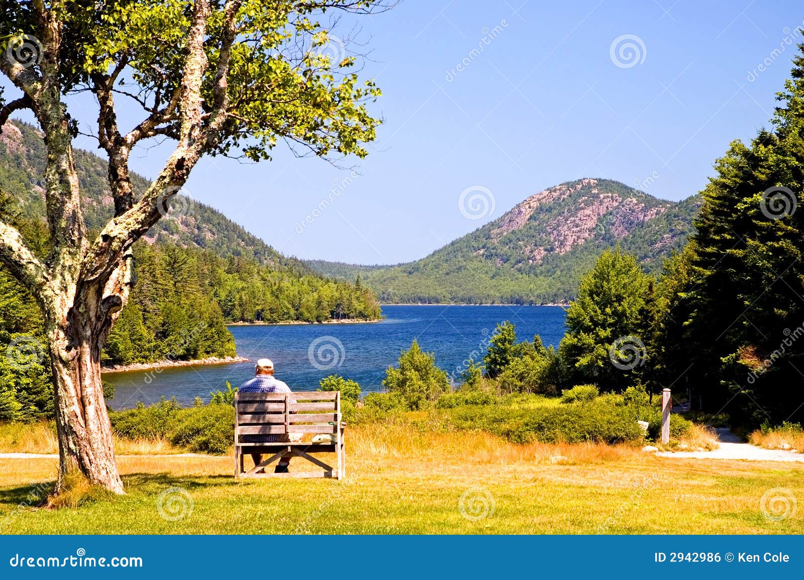 Man Overlooking Scenic Lake Stock Photo - Image of summer, mountainous ...