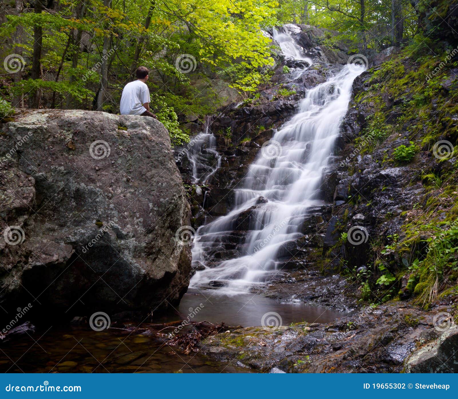 Man Overlooks Overall Run Waterfall Stock Photo - Image of forest ...