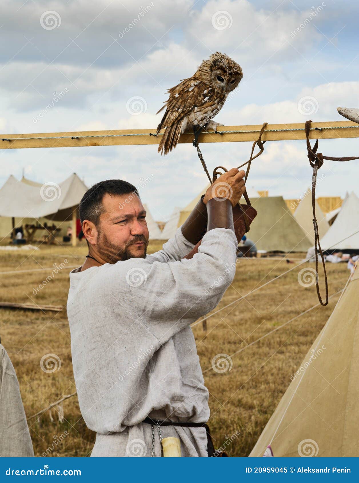 Man and owl editorial image. Image of people, predator - 20959045