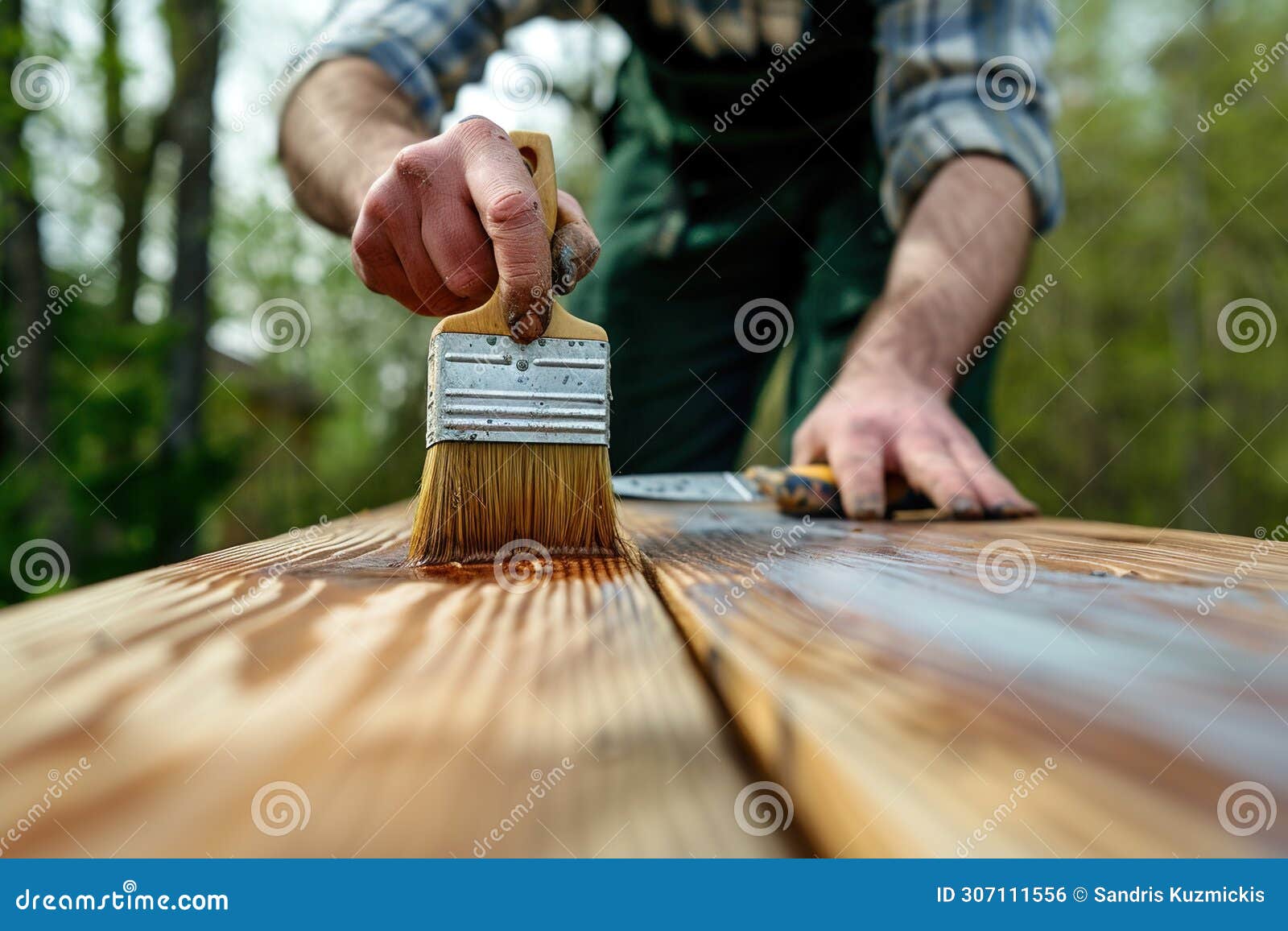 Man Painting Timber Plank in Garden.Man Painting Timber Plank in Garden ...