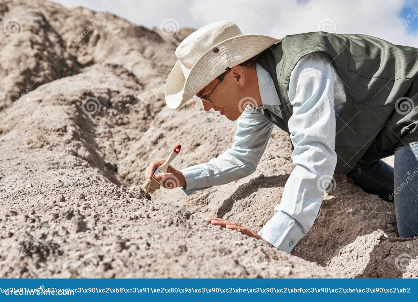 Paleontologist Field Stock Photos - Free & Royalty-Free Stock Photos ...