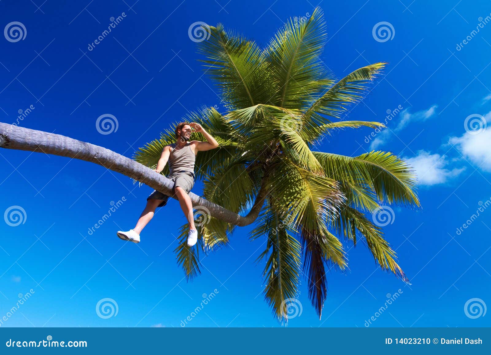 Man on Palm stock photo. Image of peace, quiet, paradise - 14023210