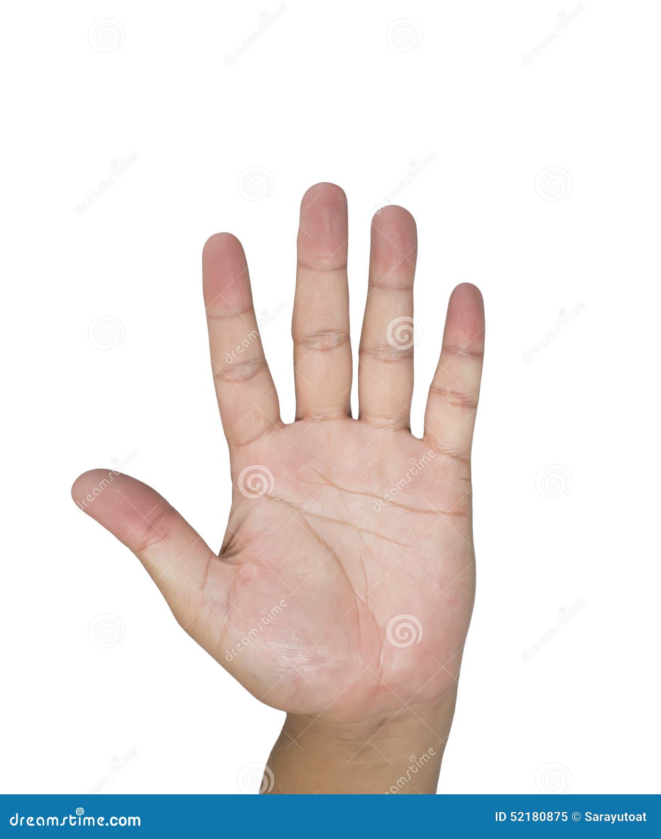 Man Palm Hand Isolated White Background Stock Image - Image of hello ...