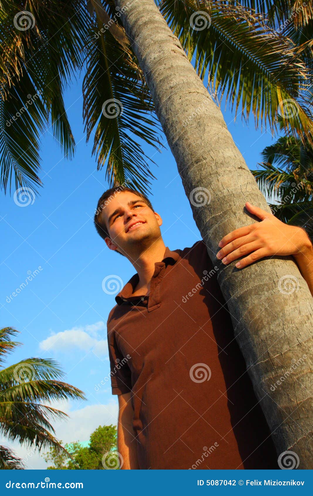 Man and Palm Tree stock photo. Image of smile, clean, vacation - 5087042