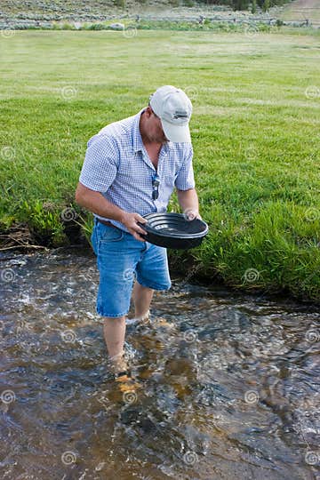 Man Panning for Gold stock photo. Image of male, mineral - 13033926