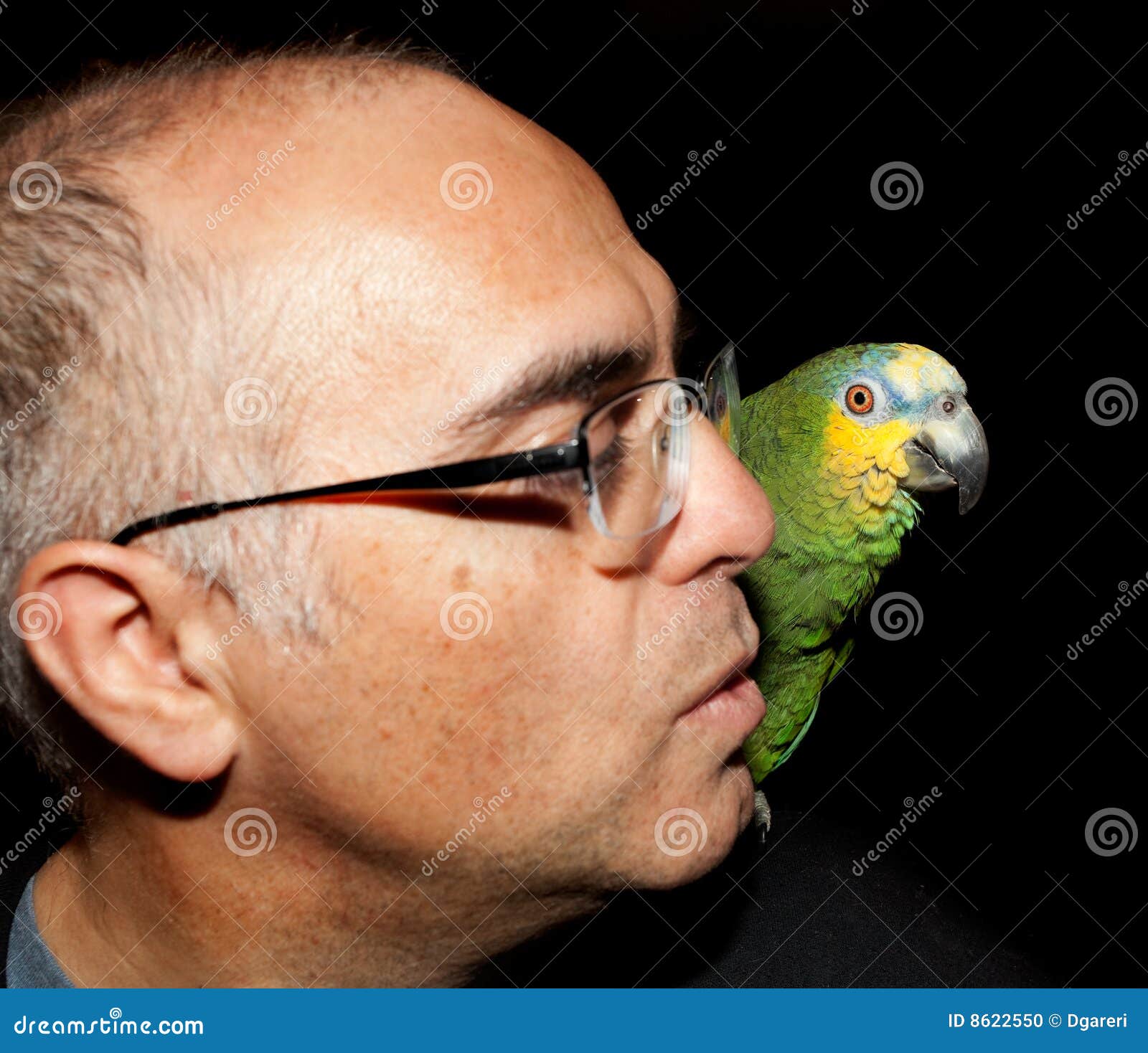 Man and Parrot stock photo. Image of parrot, amazon, parakeet - 8622550