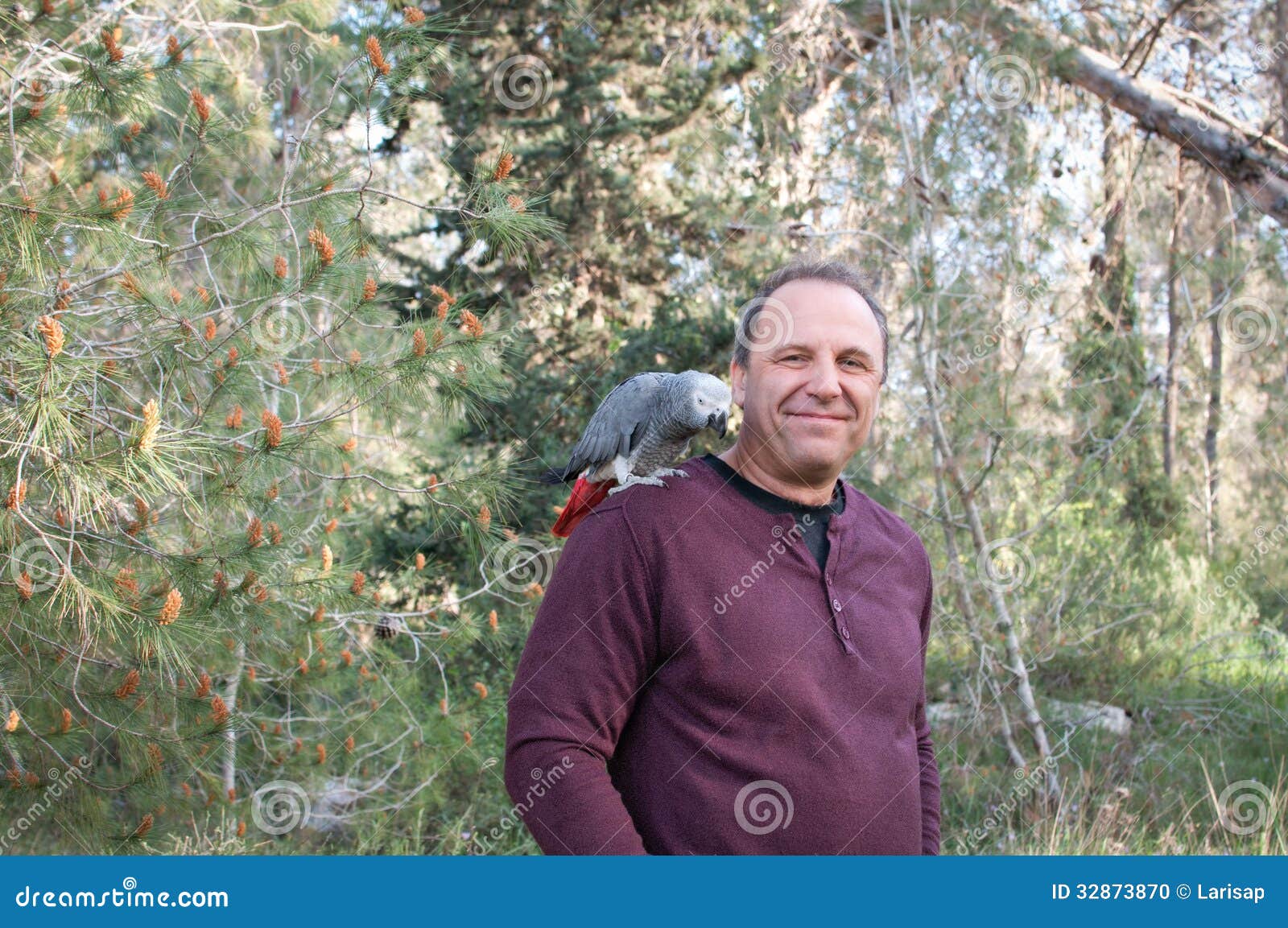 Man with parrot . stock photo. Image of exotic, animal - 32873870