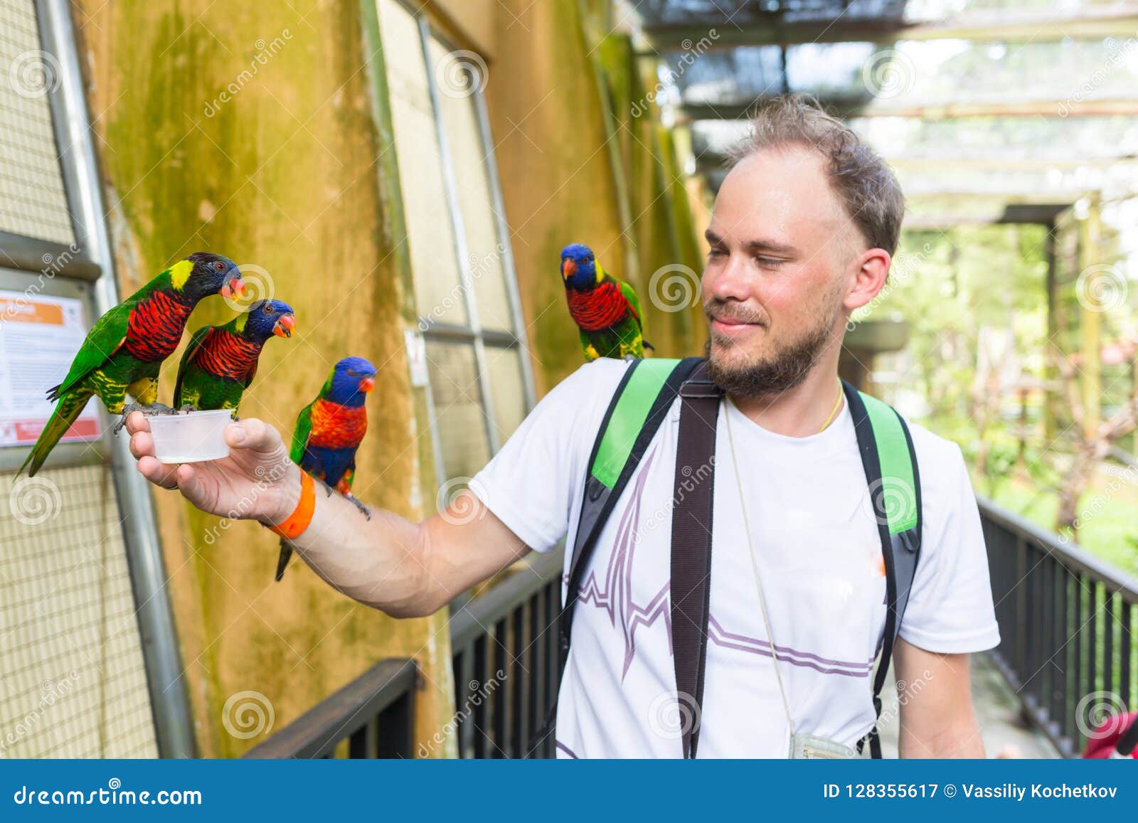 Man with Parrots Sitting on the Shoulder and Head Stock Image - Image ...