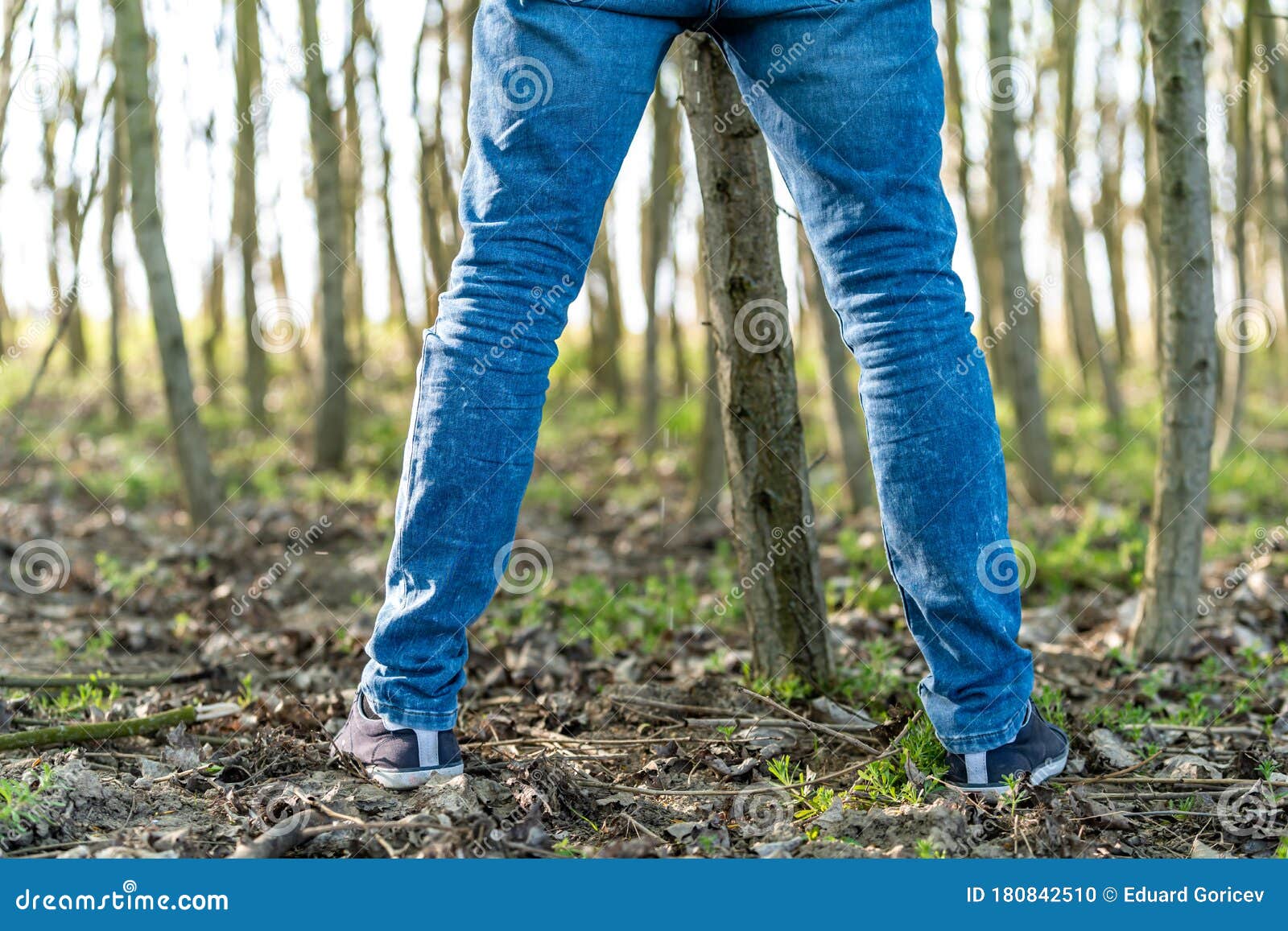 Man Peeing on a Tree in the Woods Stock Photo - Image of lavatory ...