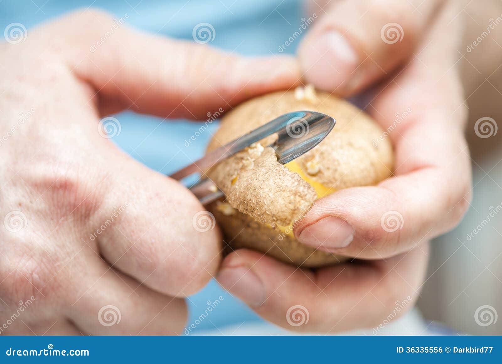 Man peeling potato stock photo. Image of hand, hold, concept - 36335556