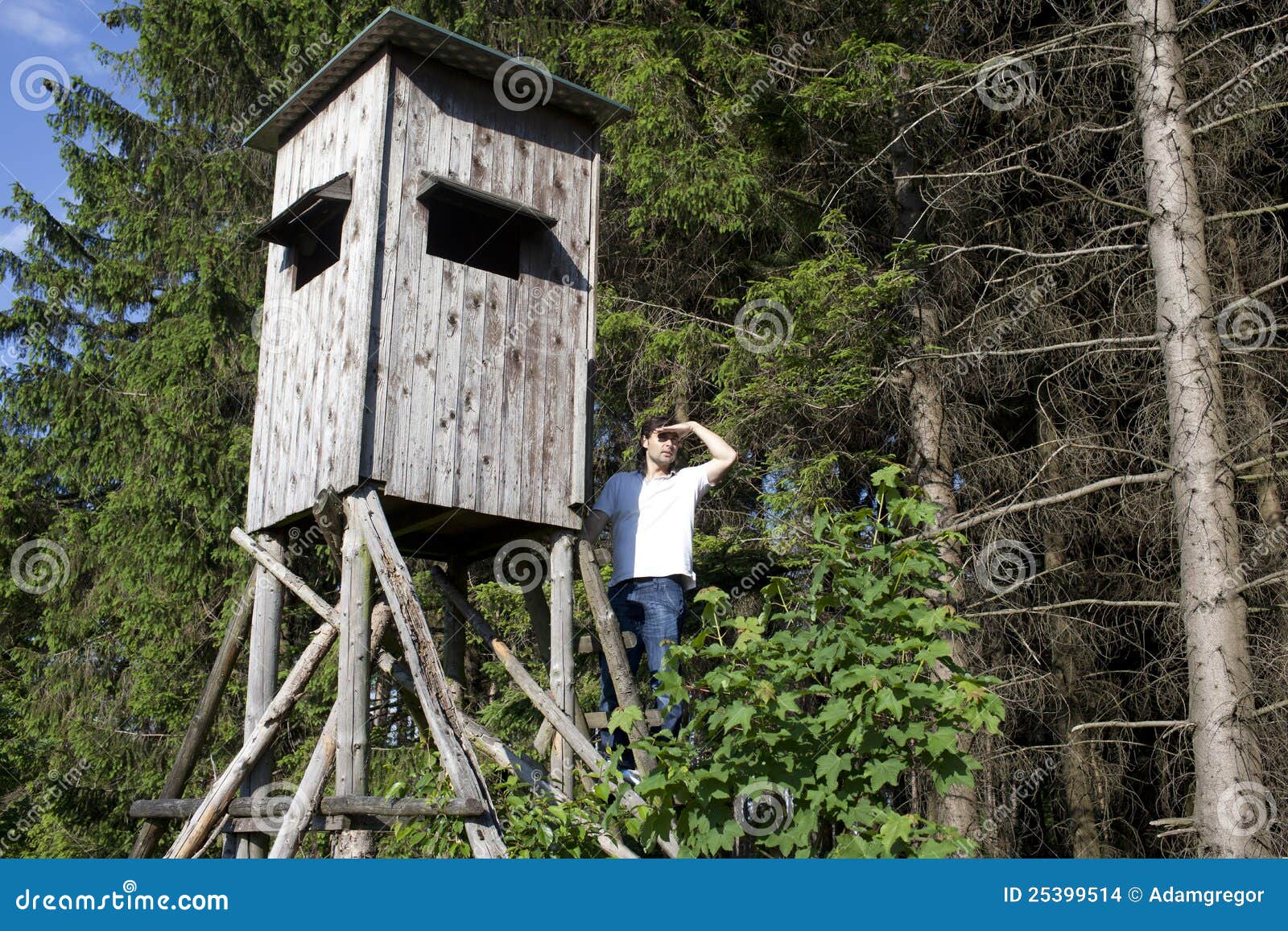 Man on a perch stock photo. Image of raised, looking - 25399514