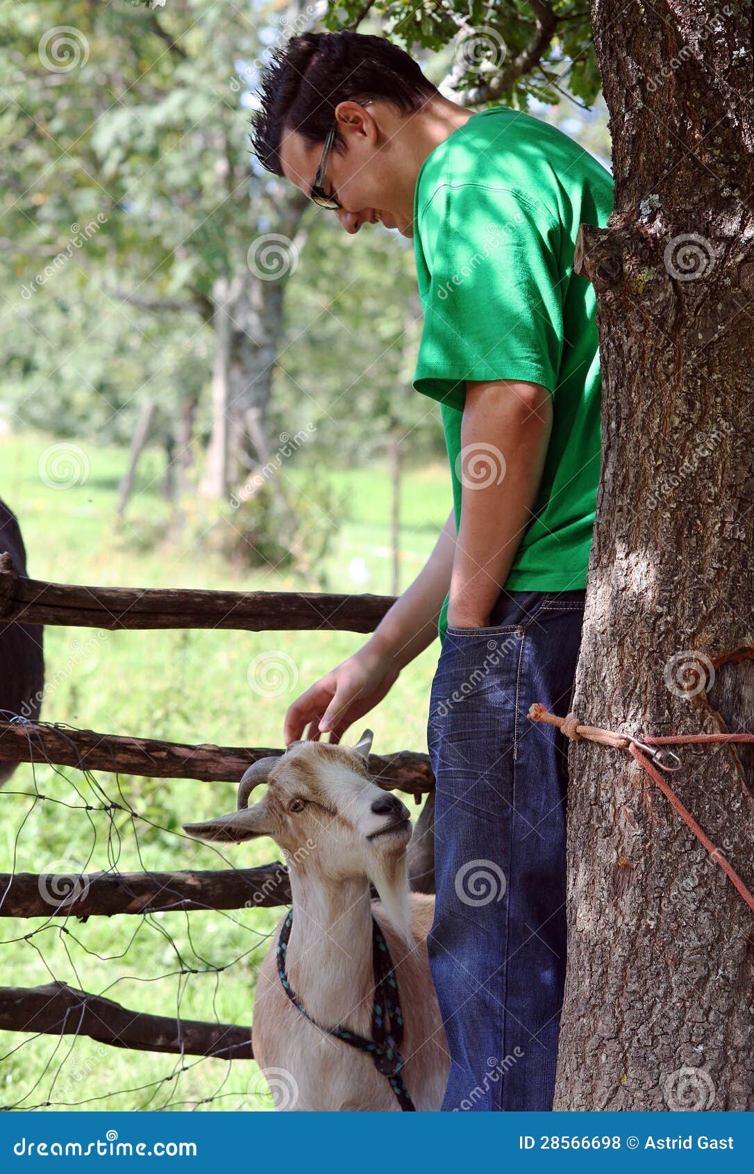 A man petting a goat stock photo. Image of hungry, farm - 28566698