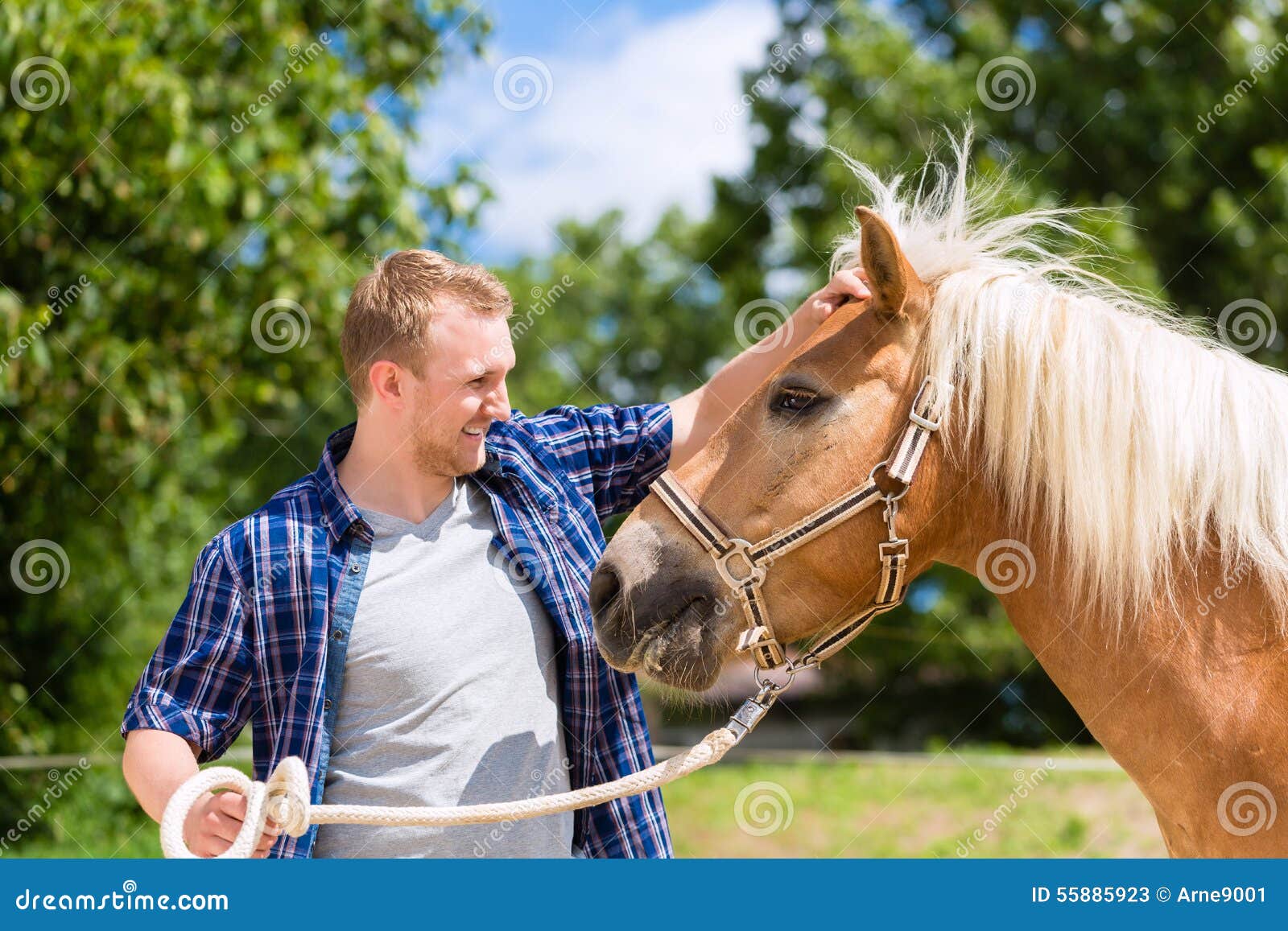 Man petting horse on farm stock image. Image of farm - 55885923