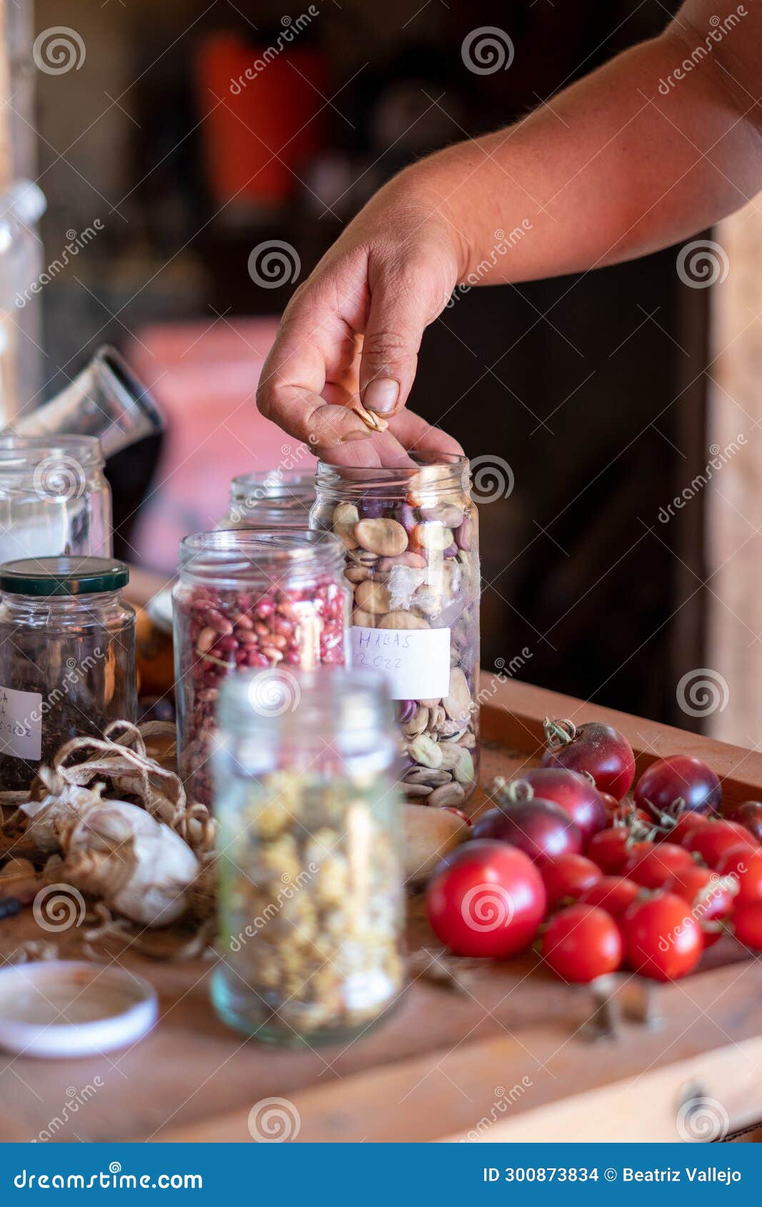 Ancient seeds stock photo. Image of ancient, homemade - 300873834