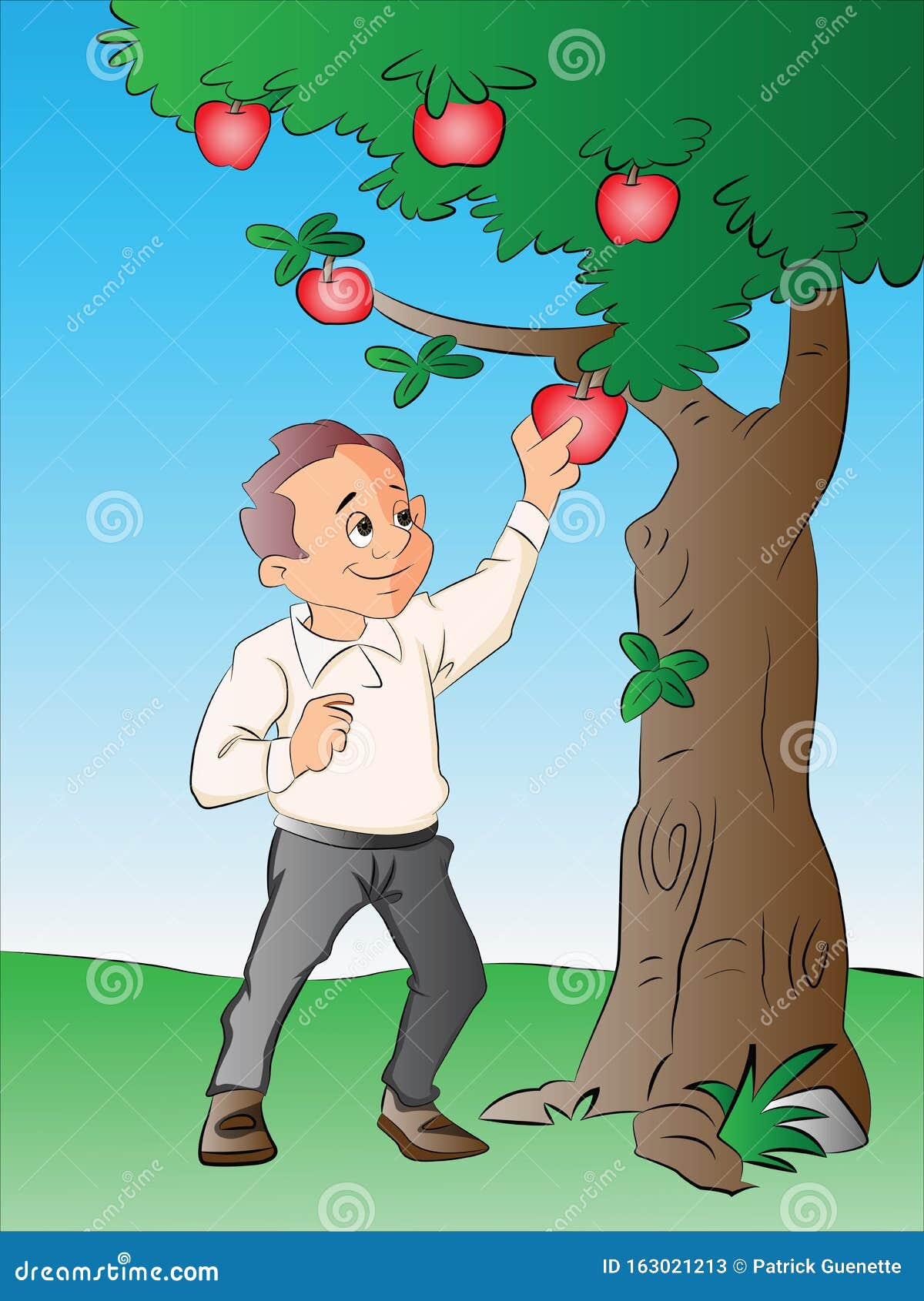 Man Picking Apples From A Tree Illustration Stock Vector