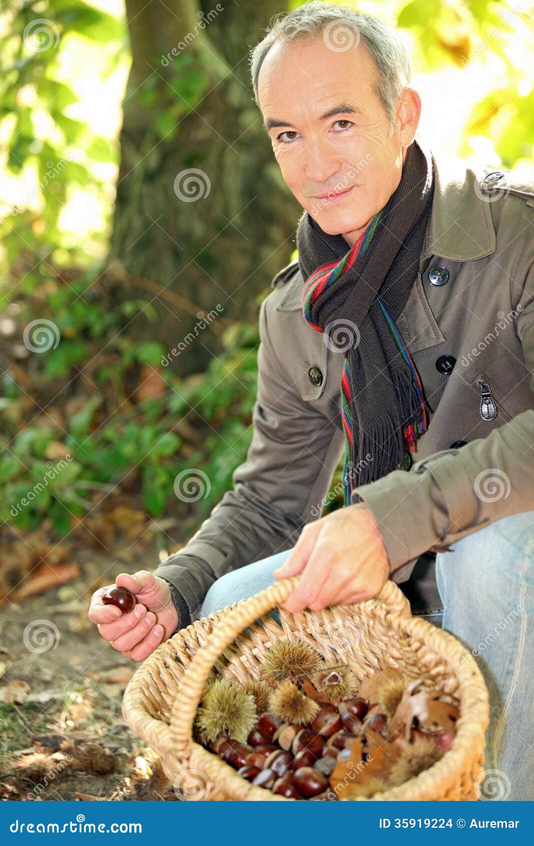 Man picking chestnuts stock photo. Image of teach, bald - 35919224