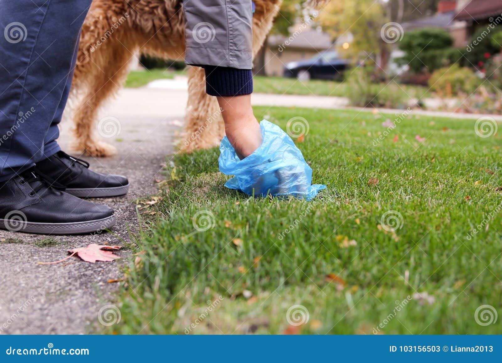 Kids Picking Up Dog Poop