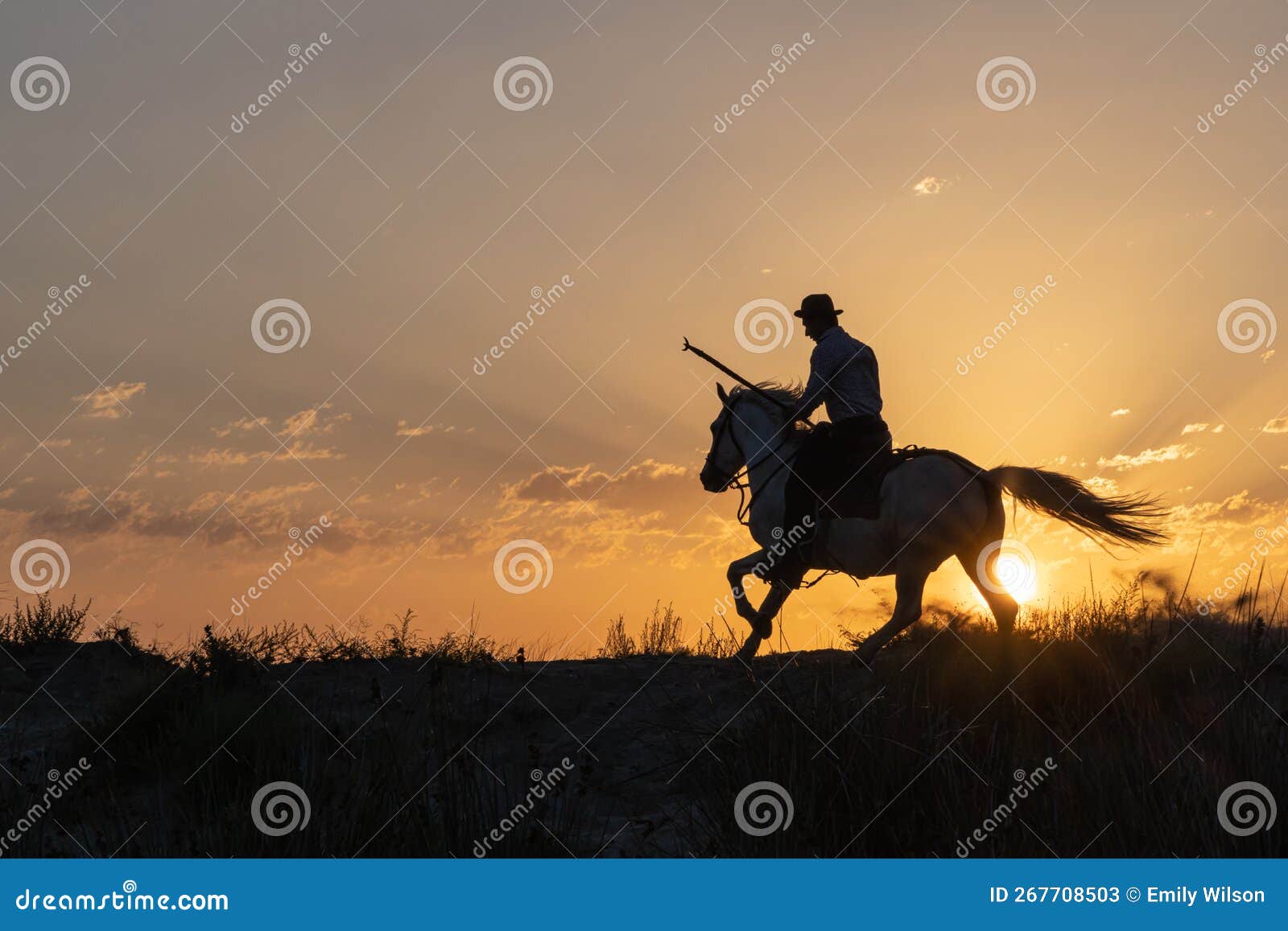 Man with a Pike Riding a Horse at Sunrise Editorial Stock Photo - Image ...
