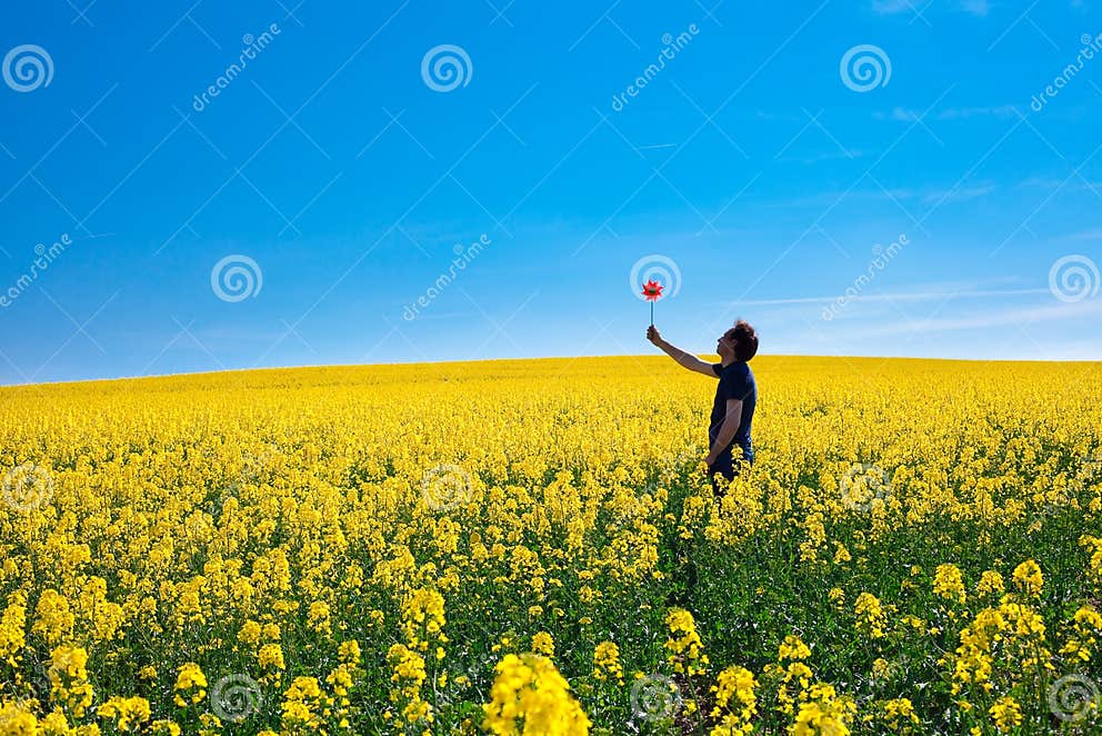 Man with Pinwheel Standing in a Field Stock Image - Image of green ...