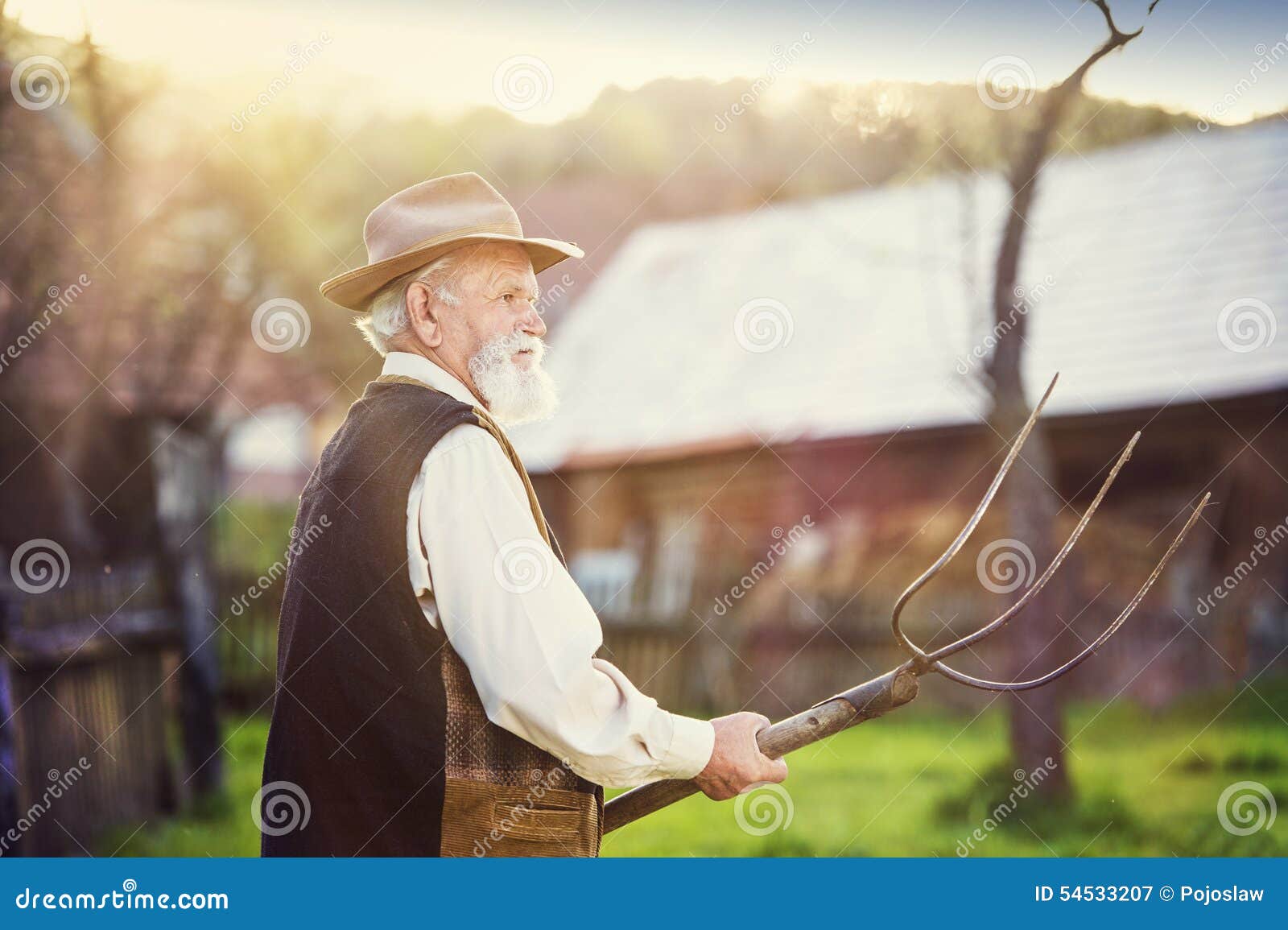 Man with pitchfork stock image. Image of handle, roof - 54533207