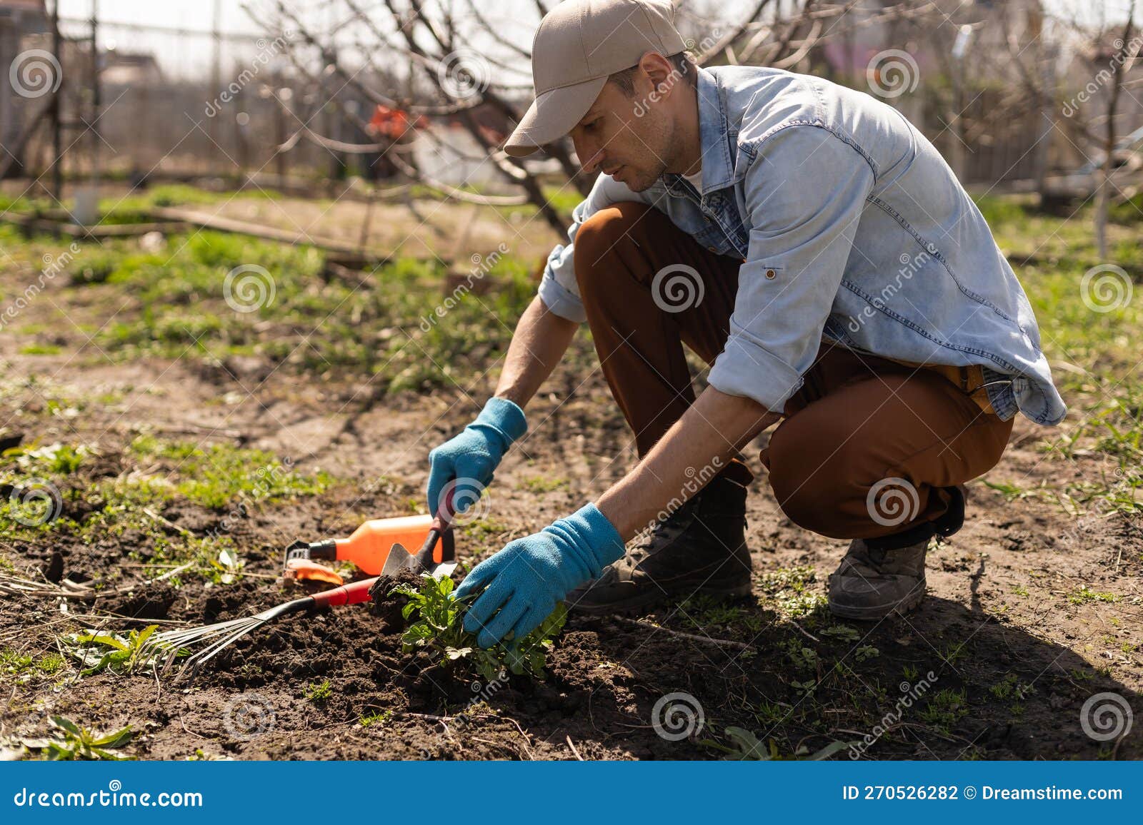 Man Planting Crops in Garden. Stock Photo - Image of gardening, dirt ...