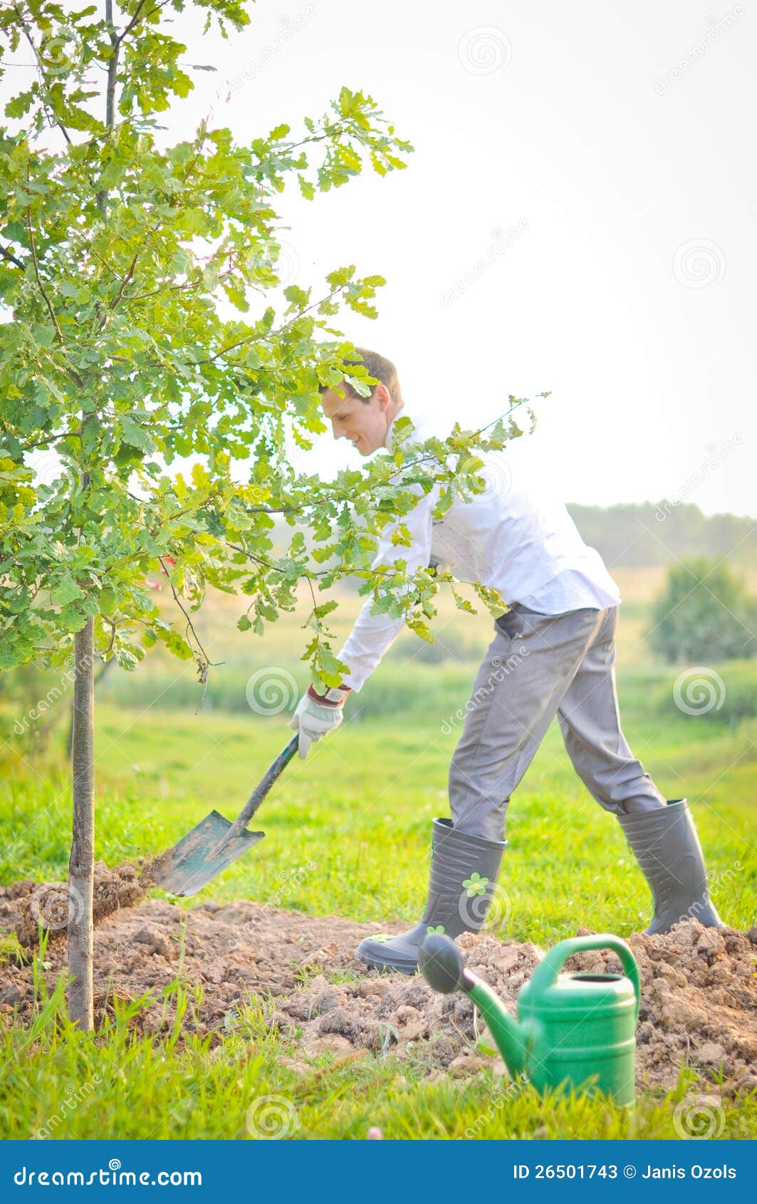 Man planting a tree. stock image. Image of hobby, garden - 26501743
