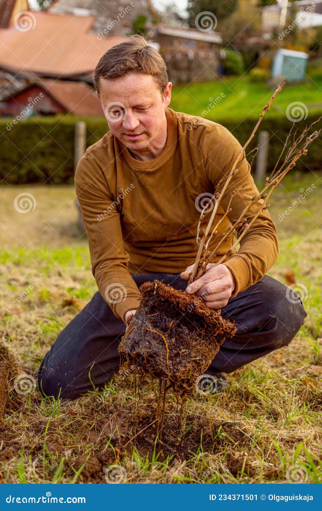 Man Plants Tree in the Garden. Nature, Environment and Ecology Concept ...