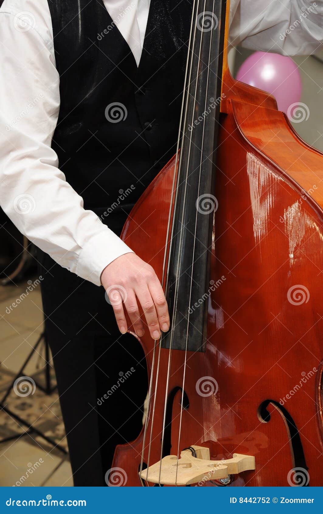 Man Play Contrabass Close-up Stock Photo - Image of chamber, classical ...