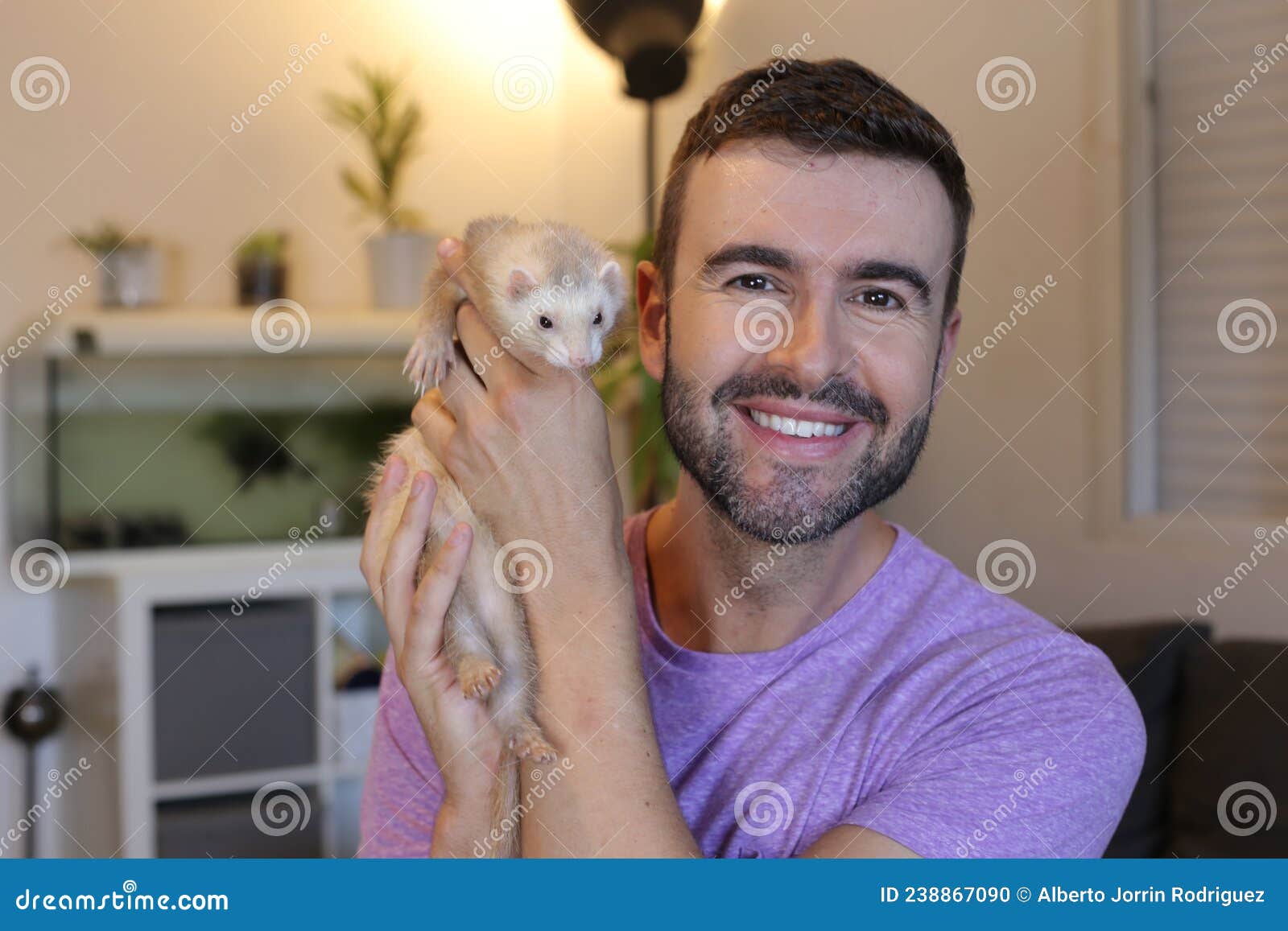 Man with a playful ferret stock photo. Image of furry - 238867090