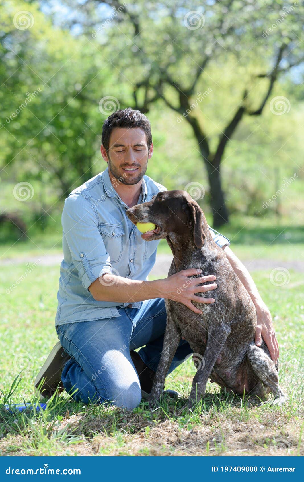 Man Playing Ball with Pointer Dog Stock Photo - Image of ball, nature ...