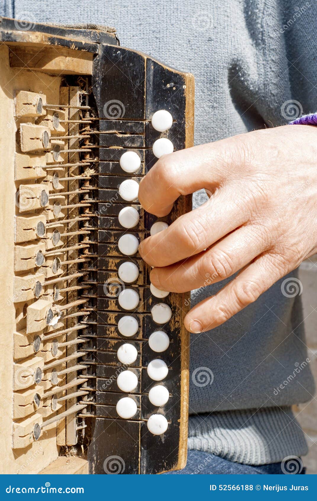 Man playing concertina stock photo. Image of folk, concertina - 52566188