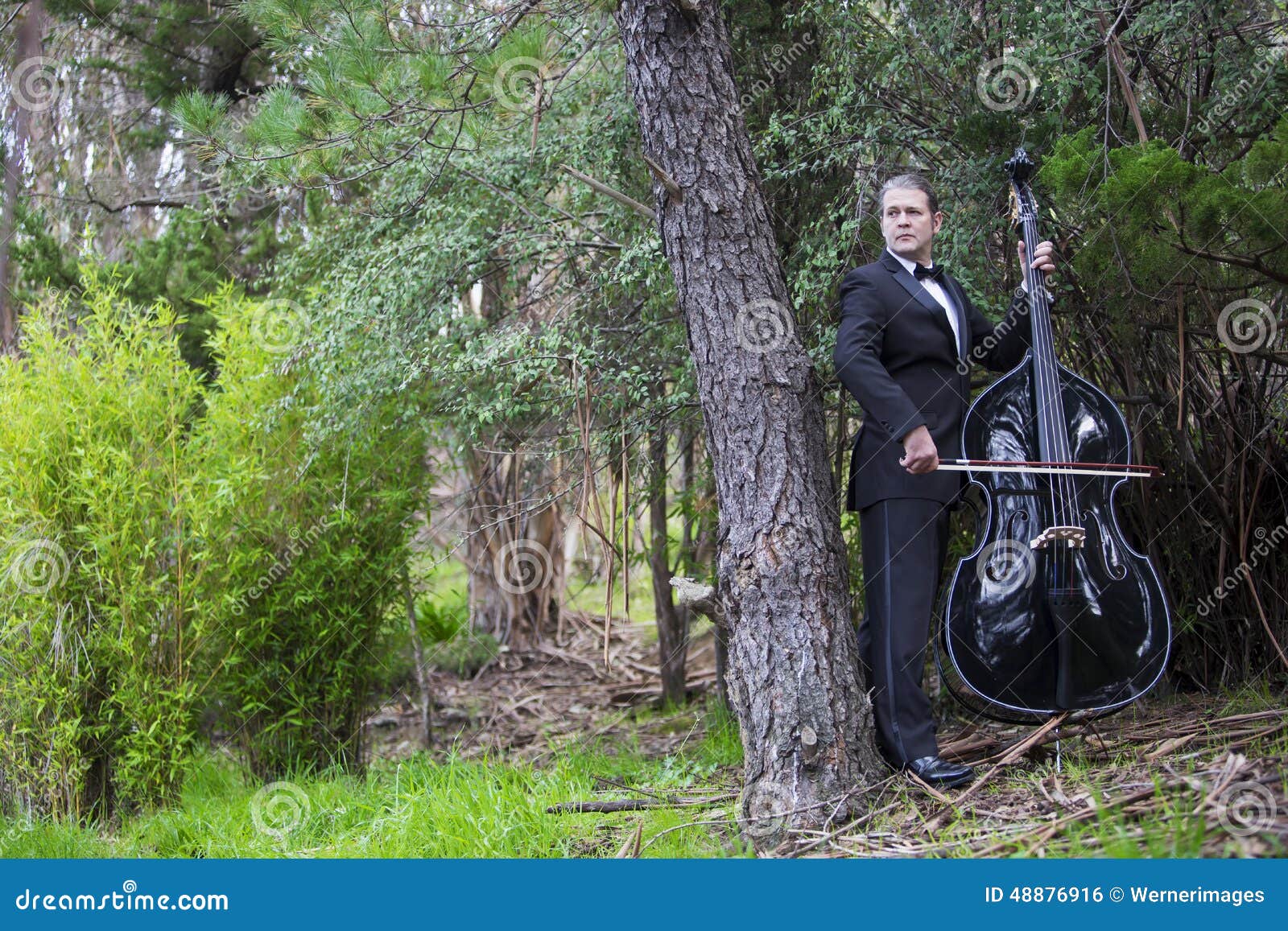 Man Playing the Double Bass in Park Stock Photo - Image of nature ...