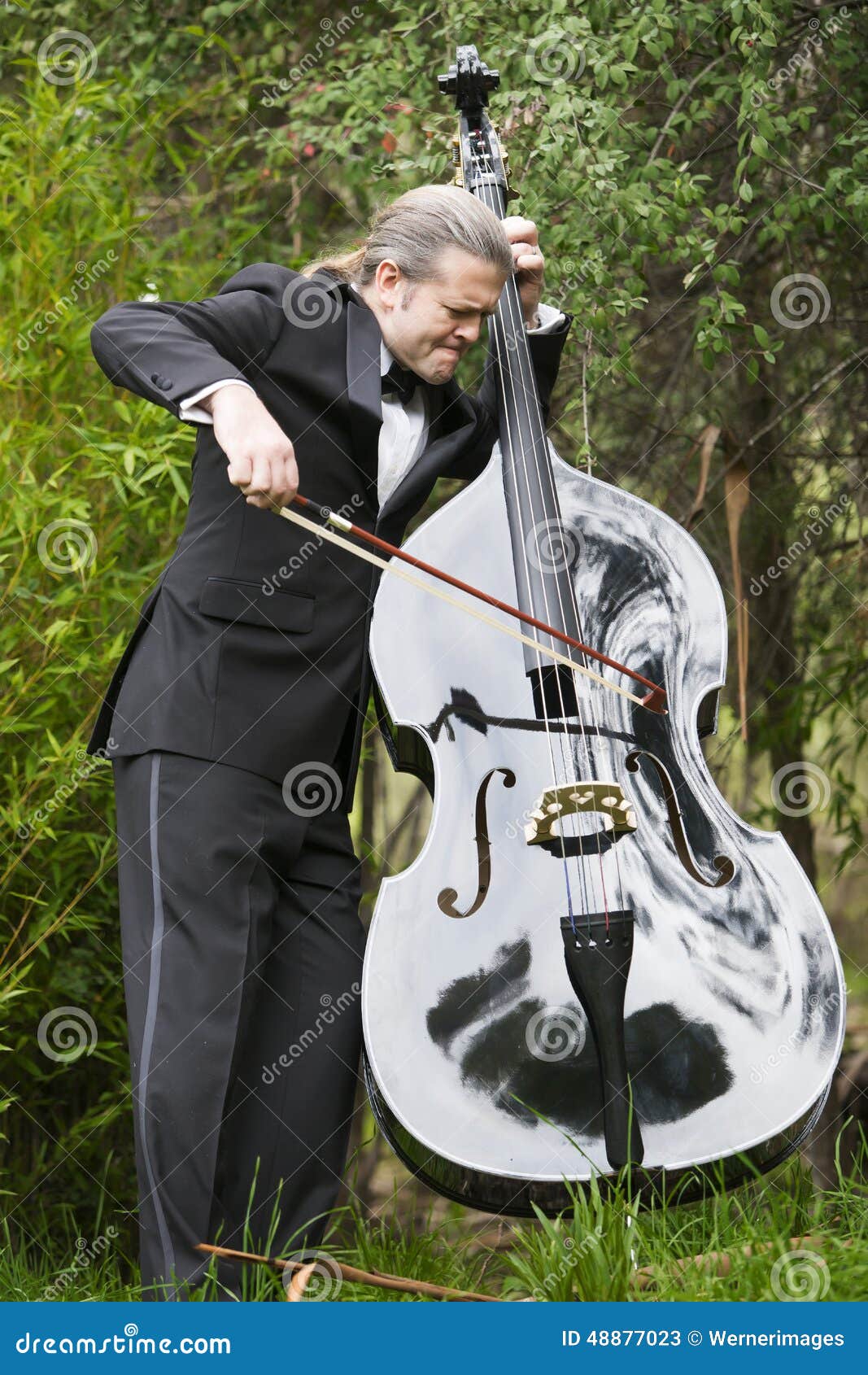 Man Playing The Double Bass In Park Stock Image Image Of Perform